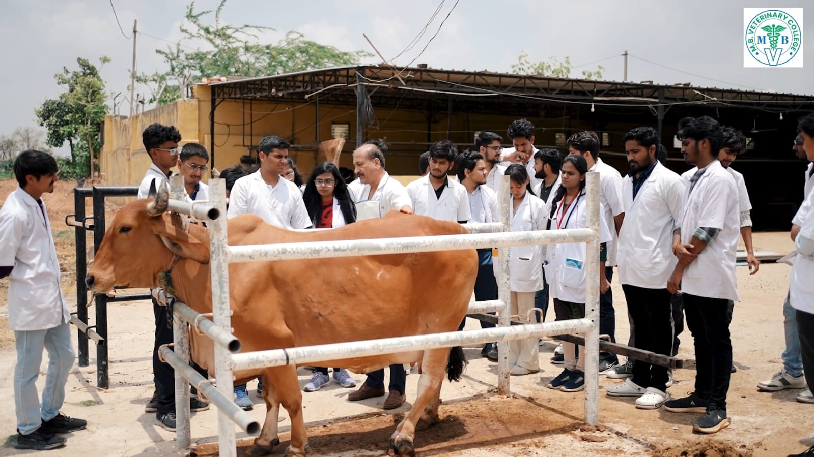 M.B Veterinary College Dungarpur